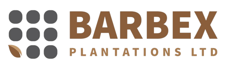 About Barbex – Barbex Group